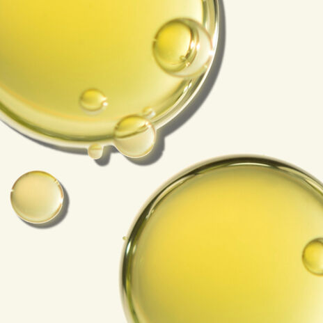 The Benefits of Squalane for Skin | Blog | Fresh Beauty