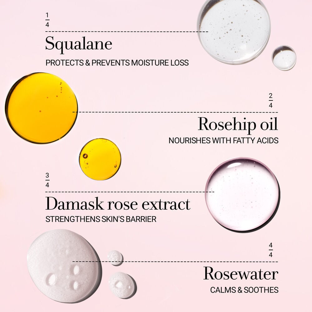 Rose Deep Hydration Oil-Infused Serum, 100Ml | Skincare | Fresh Beauty US